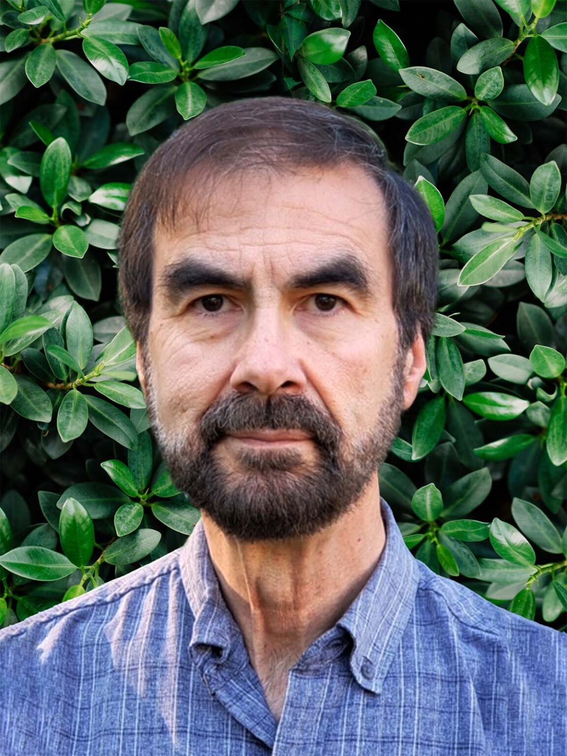 Current Shows - Premiere Stages